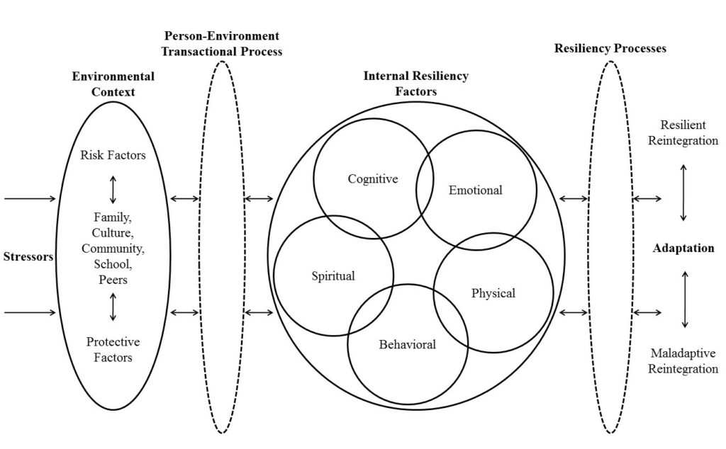 Strengthening Resilience in School – A Narrative Examination of How ...